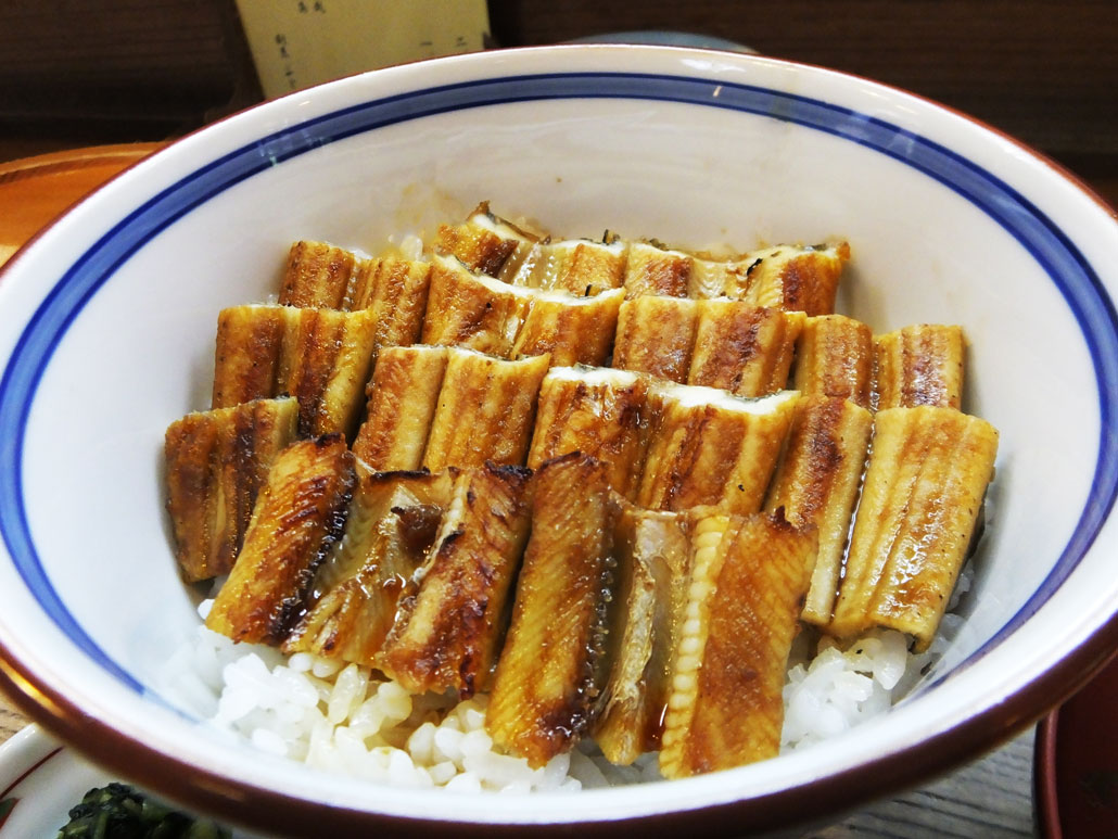 Fujitaya (Anagomeshi, or Conger Eel Bowl) - Find Your Japan